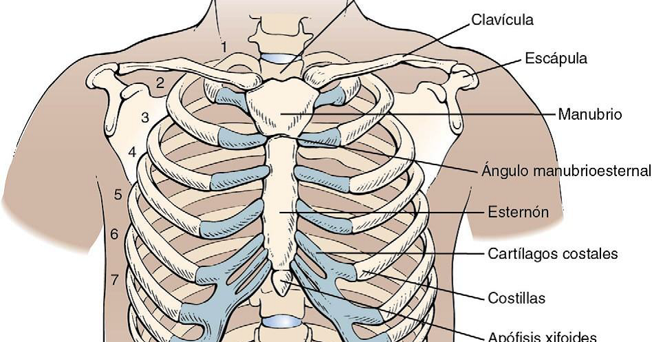 EXPLORACIÓN DE TÓRAX