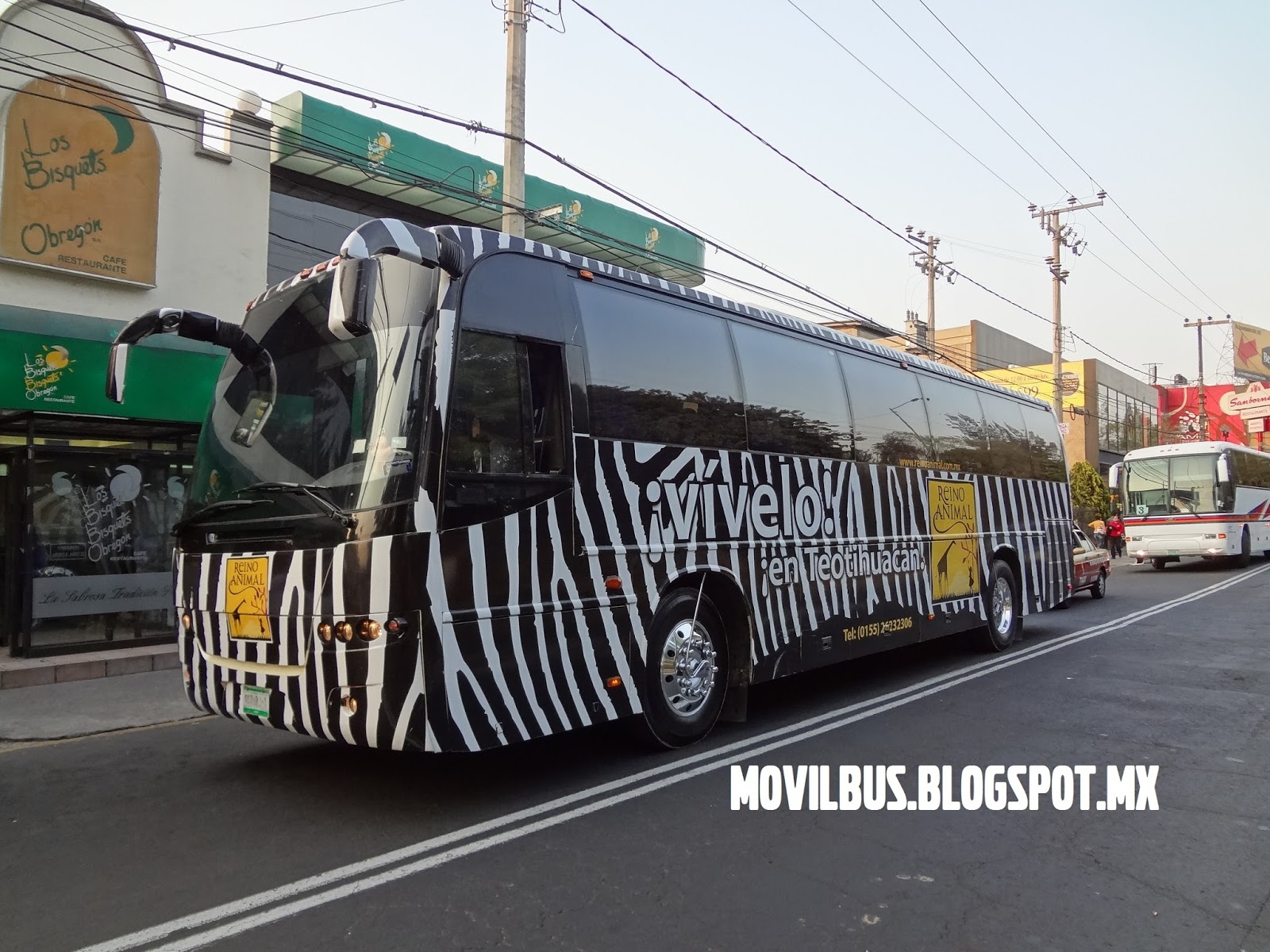 VOLVO 9300 DE REINO ANIMAL.