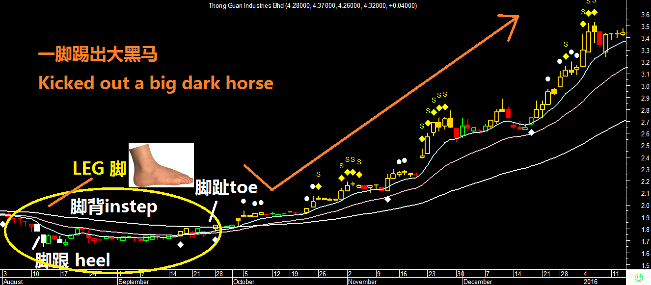 如何捕捉飙涨股 How to capture soaring stocks | Sharetisfy