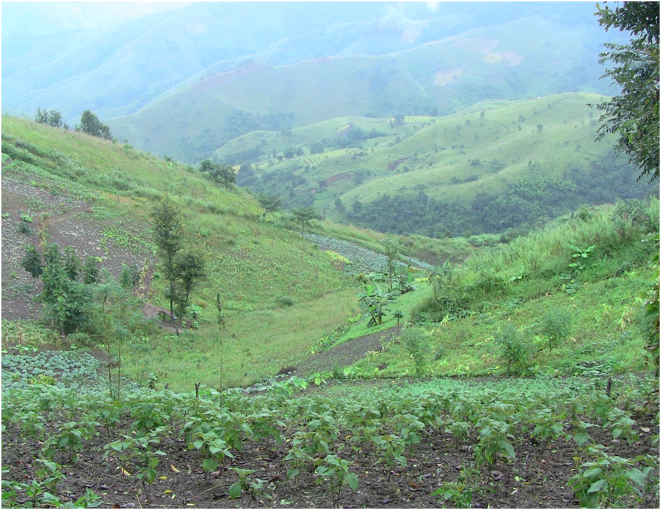 Centre for Research and Advocacy Manipur : Assessment of Shifting ...