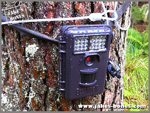 Learning how to use my Bushnell trail camera : Jake's Bones