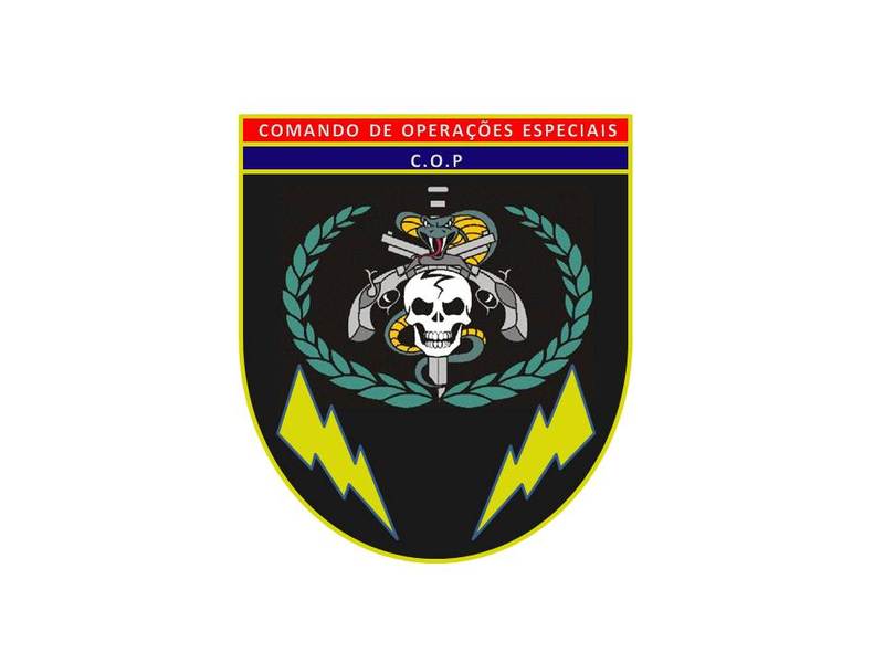 C.O.E: C.O.E - Comando de Operações Especiais