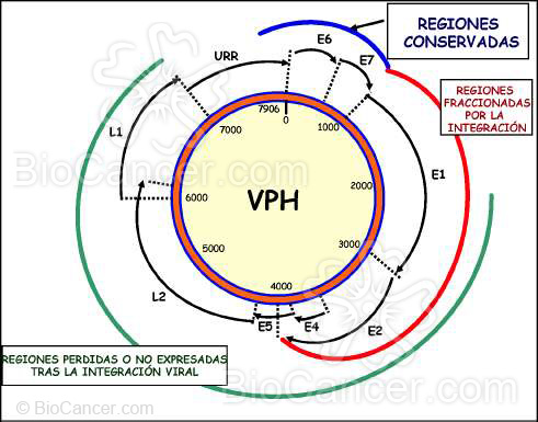 Proyecto Infomed