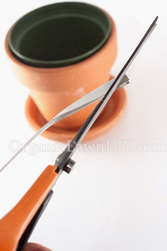 DIY Printed Plant Labels