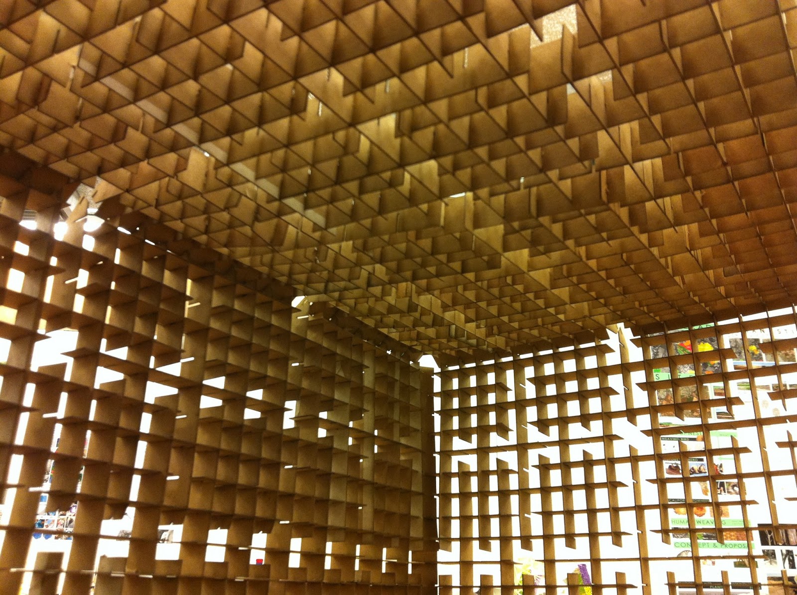 Spontaneous Architecture: the cardboard waffle