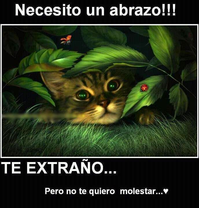 Frases Lindas Del Dia: Necesito Un Abrazo Te Extraño