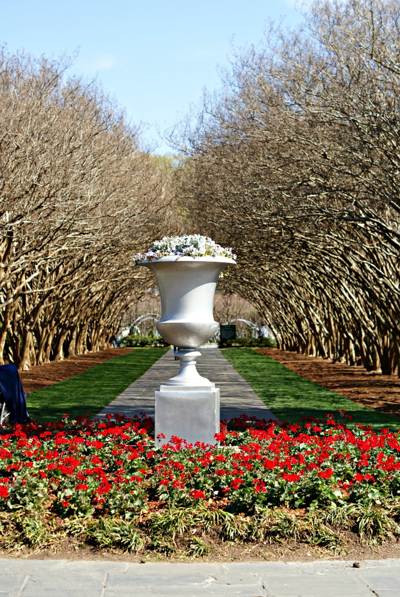 THE DALLAS ARBORETUM {FIELD TRIP} | Dimples and Tangles