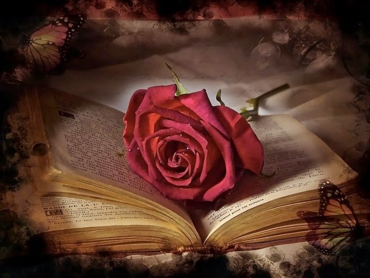 Antonia Romero: Sant Jordi