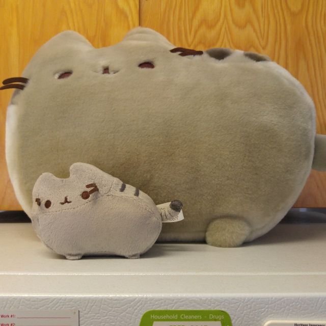 Tinny and Big Pusheen
