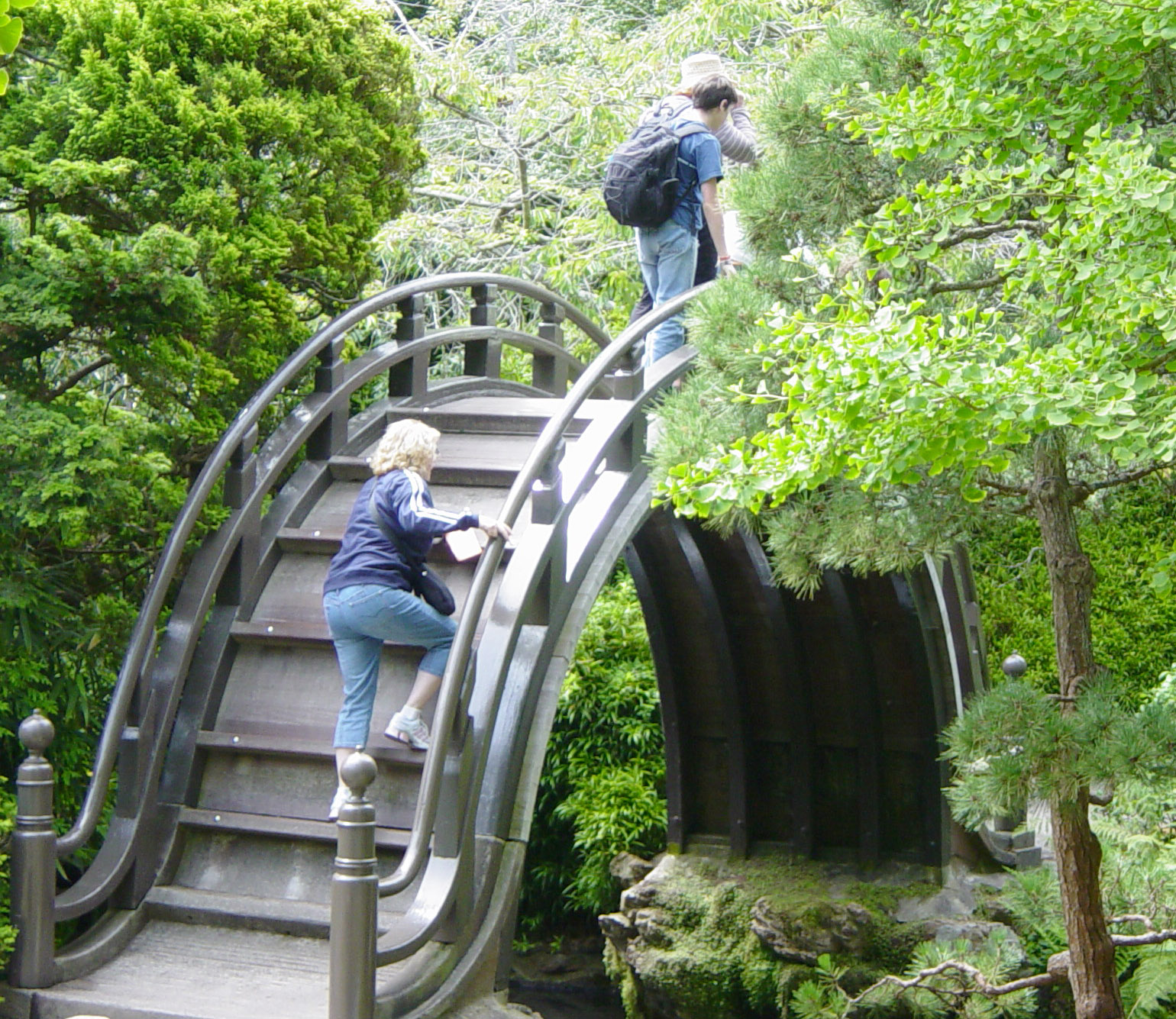 Crazy Japanese Bridge