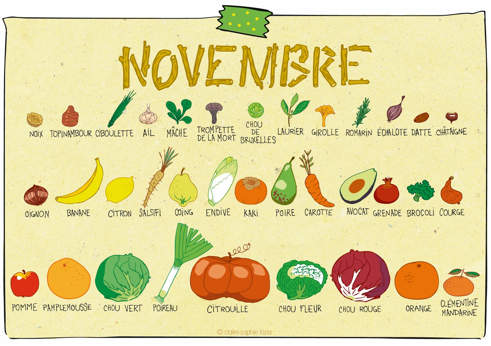 Novembre - Calendrier des fruits et légumes | pissenlit