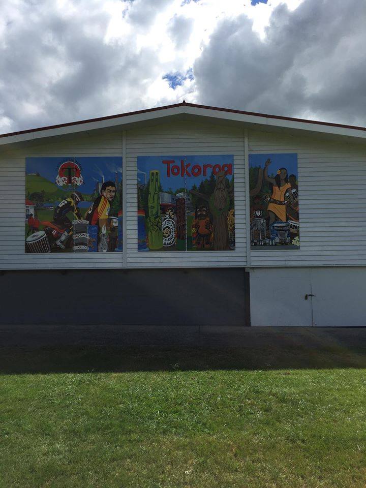 Room 10 Tokoroa Intermediate: A New Look for the School