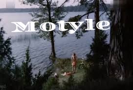 Kino z dawnych lat: Motyle - Polski film psychologiczny dla dzieci i ...