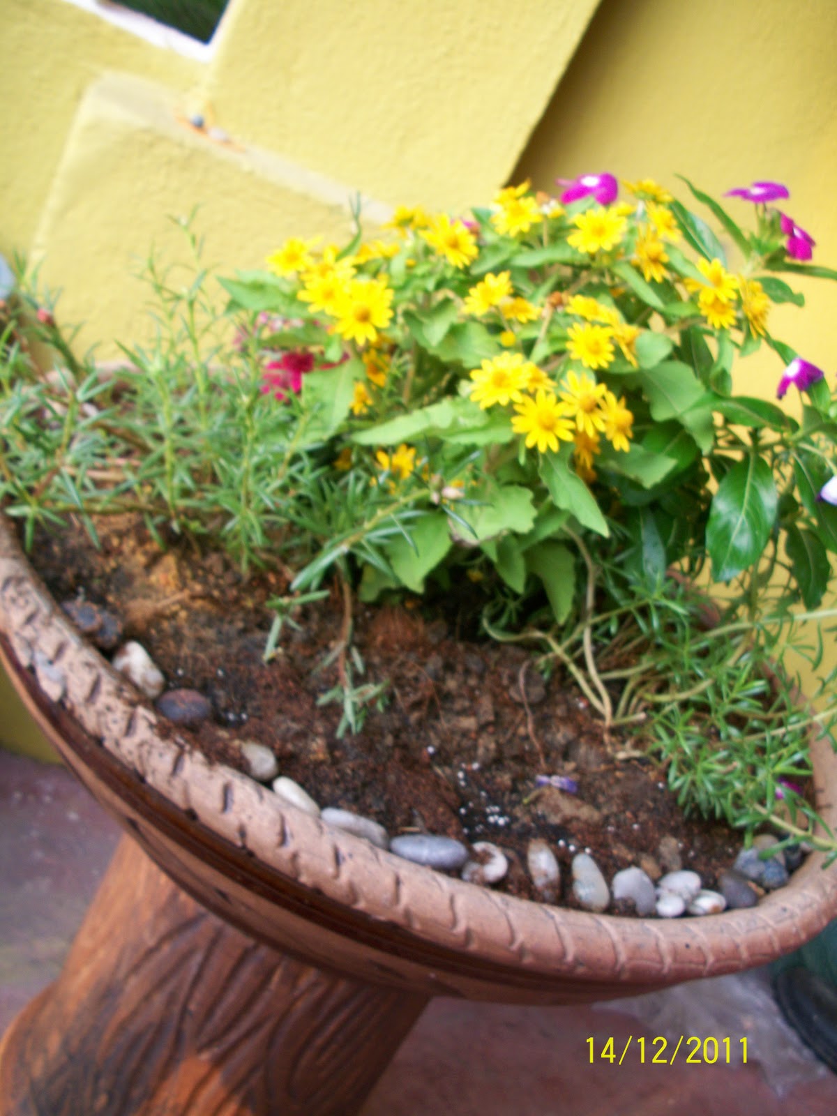 suterazen.blogspot.com: Senaman Mata