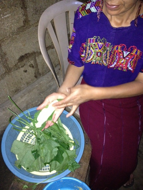 BPS: Educator Service Learning Trip to Guatemala : Day Five: Learning ...