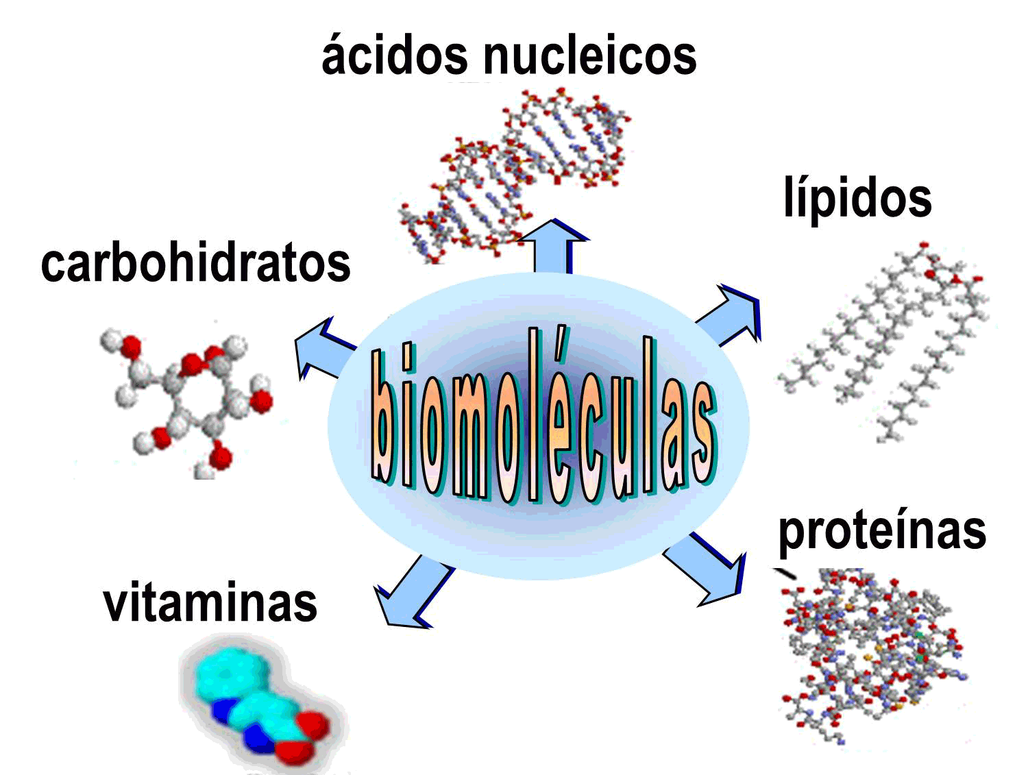 biomoleculas y bioelementos
