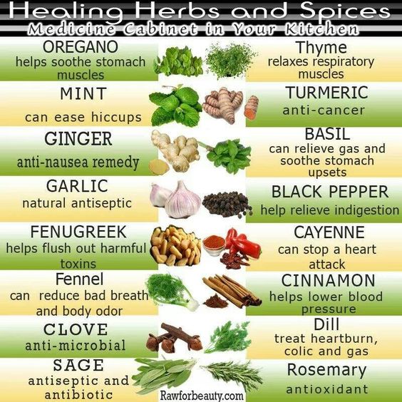 Detox Herbs And Spices Thursday Herb Day