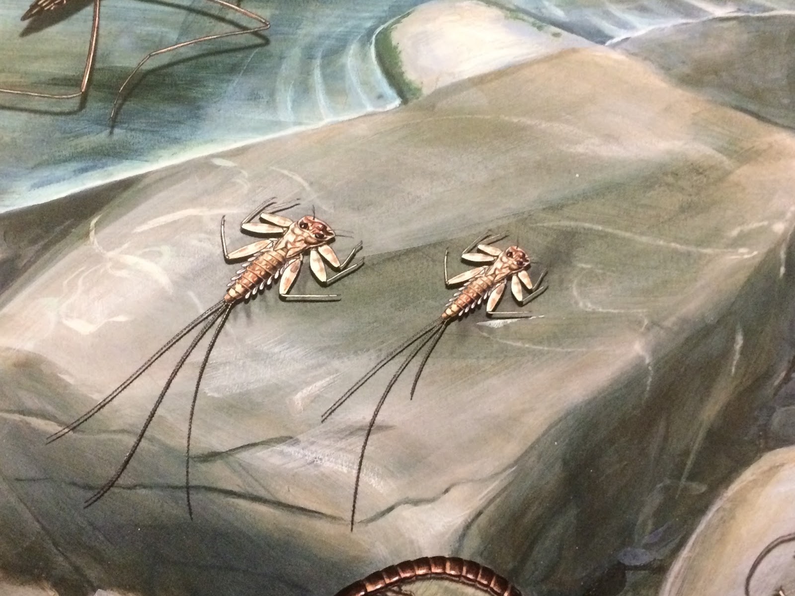 Virginia Water Radio: Episode 367 (5-8-17): A High School Call for Mayflies