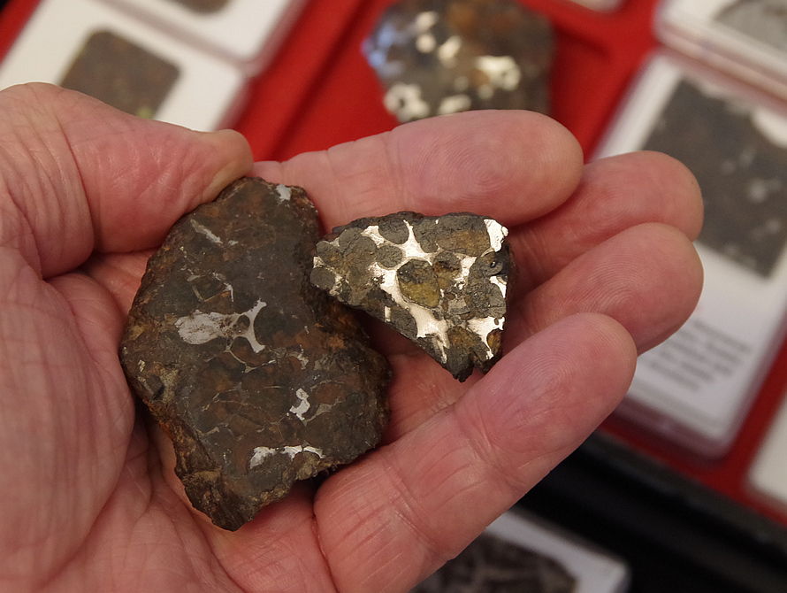 Birds of the Heath: Amazing Pallasites