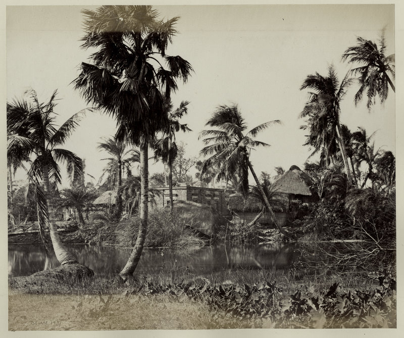 Vintage Photograph of a Village in Bengal - 1860's - Old Indian Photos