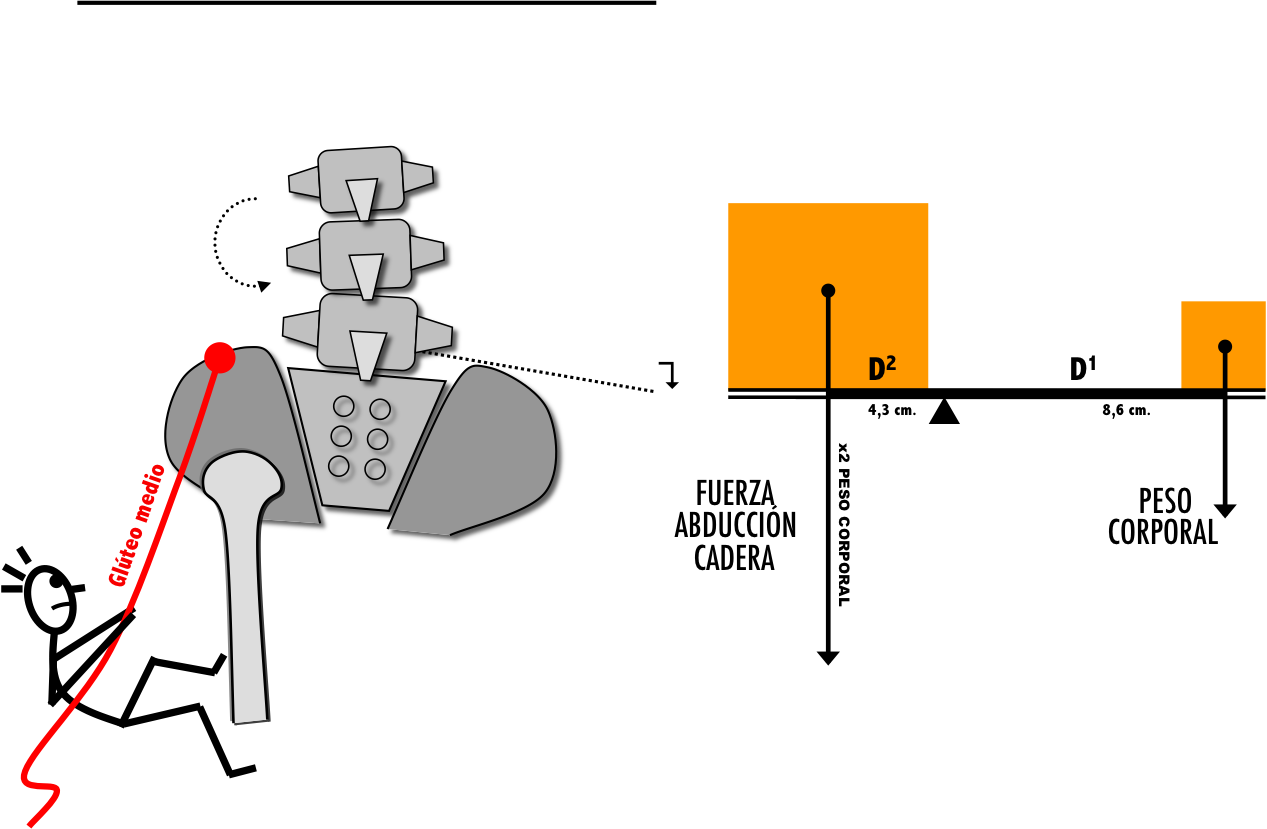 Medicina Física y Rehabilitación - Blog de Rehabilitación Infantil ...