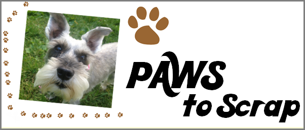 Paws to Scrap