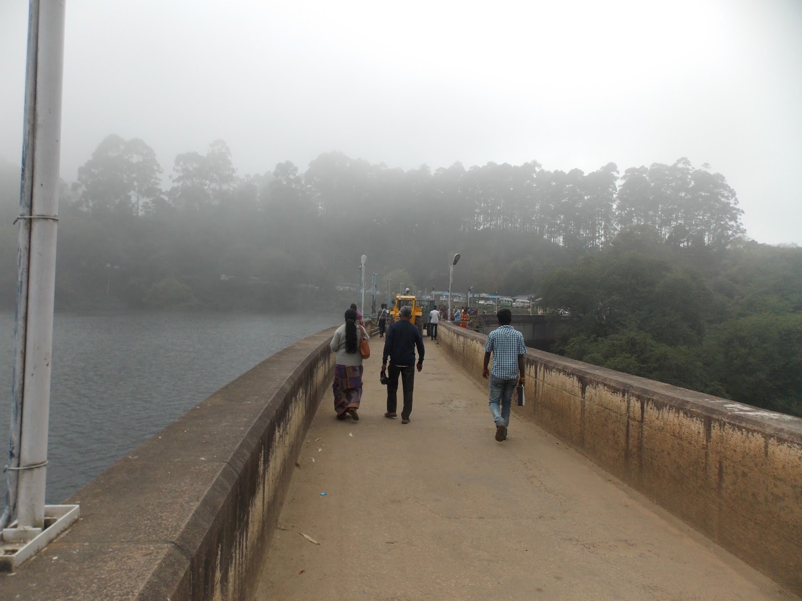 CHINAR SHADE : THE WORLD OF HEAD AND THE WORLD OF HEART