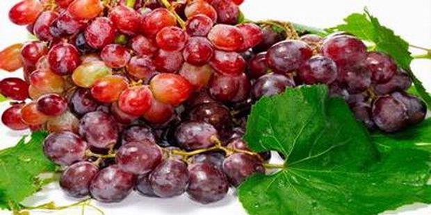 Inspirasi Hidup Dari Pohon Anggur