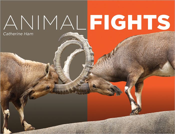 Buckeye Bookworm: Animal Fights by Catherine Ham