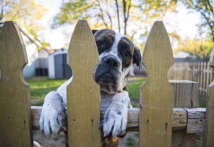 Pennant Fence Company of Jacksonville