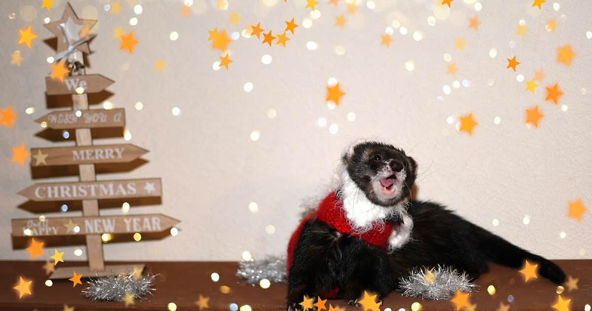 Aventures et Journal Fufuresques: Ho ho ho, j'arrive bientôt