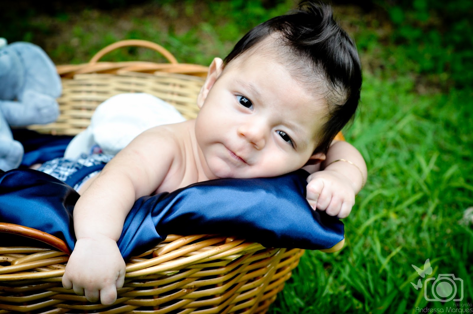 Andressa Marques Fotografia: Ensaio Baby: Enzo