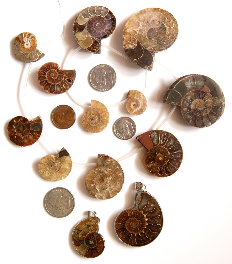 Eclectic Design Choices - Designs for Your Life: Design This – Ammonite ...