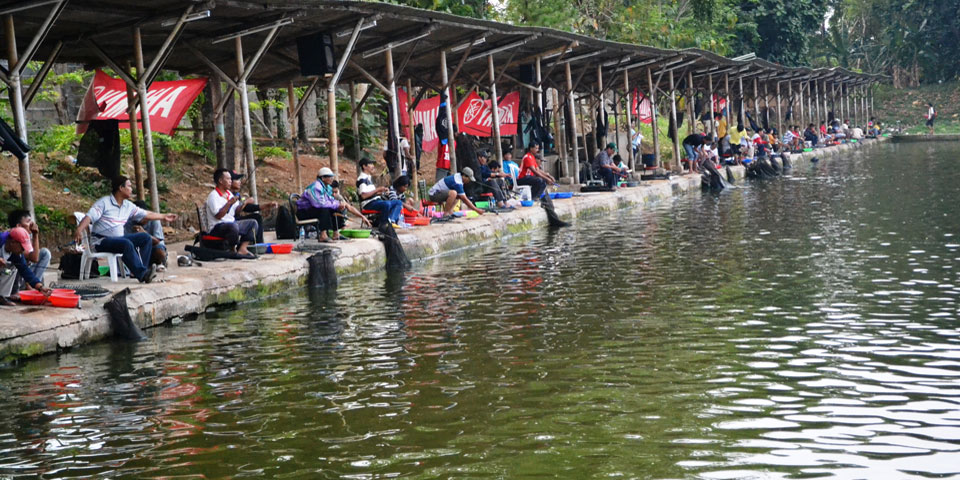 Strategi Lomba Mancing Ikan Mas