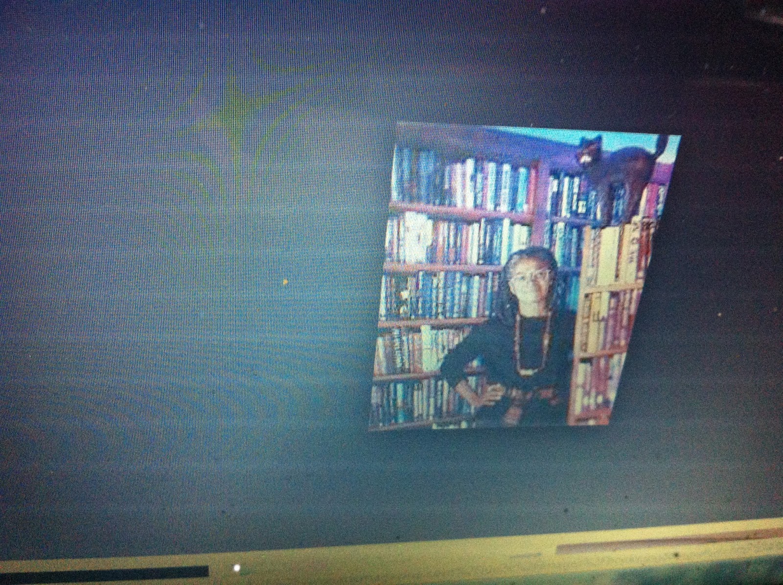 THE BLACK SOCIAL HISTORY:: BLACK SOCIAL HISTORY : AFRICAN AMERICAN ...