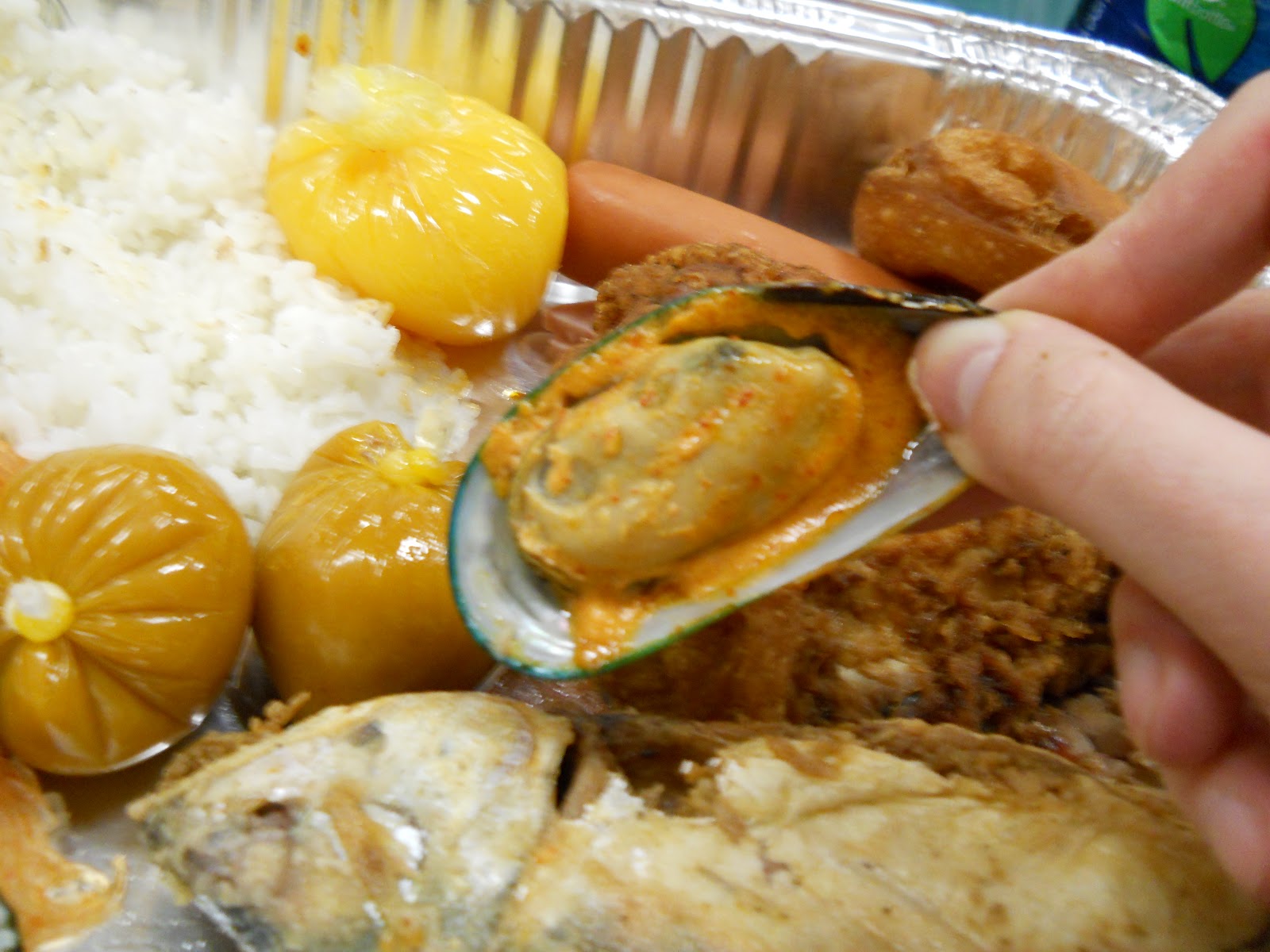 Callie's Mission Blog: new area