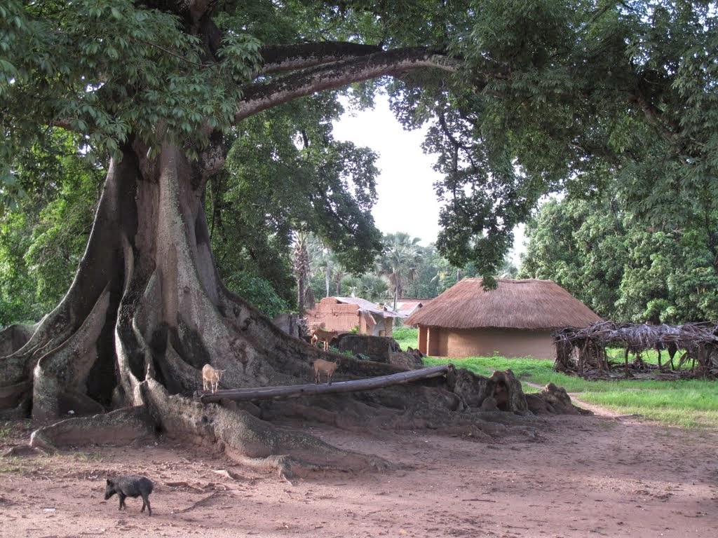 Ecoturismo en Senegal: Mlomp / Mlomp