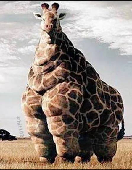 Just Judaism: October 2016