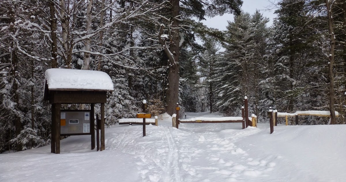 Off on Adventure: XC to Moose Pond - High Peaks Wilderness, Newcomb - 2 ...