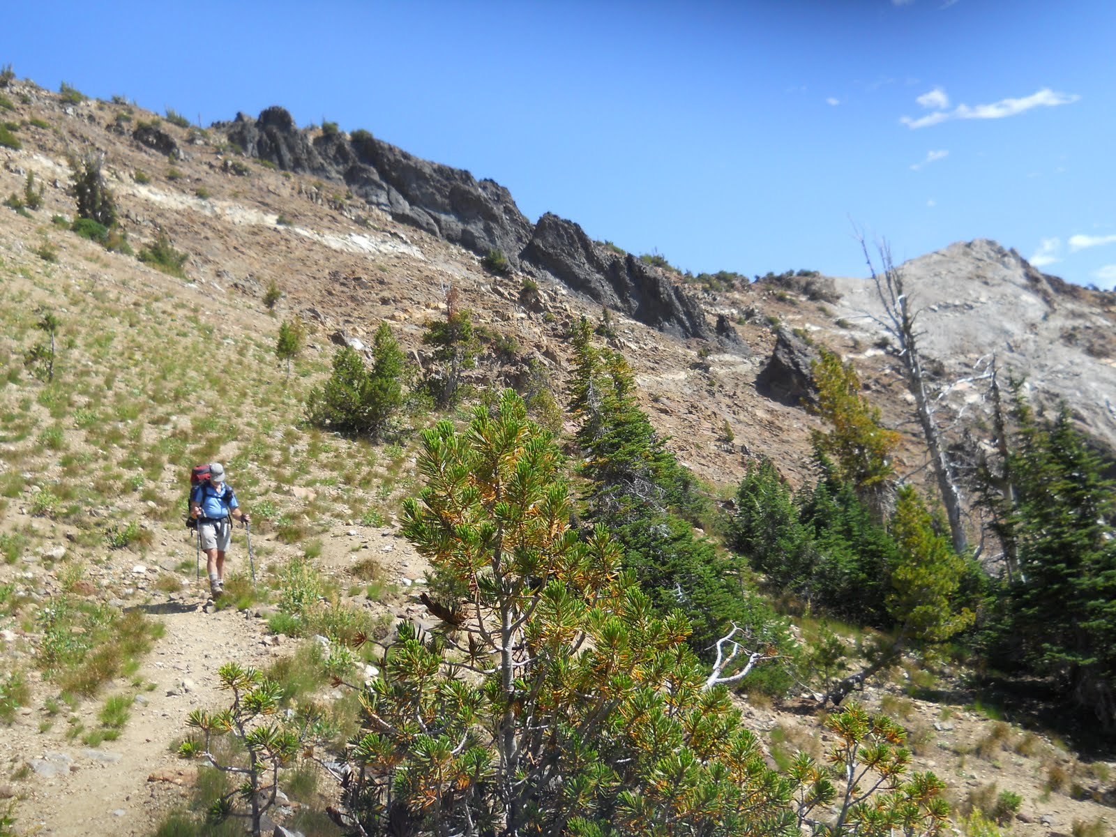 Gordon's Ramblings: Hiking in the Oregon Alps