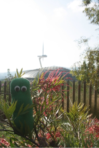 Nomadic Pickle: The Pickle Project: Hola Señor Pickle