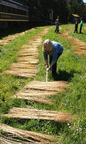 flax to linen victoria bc: Retting