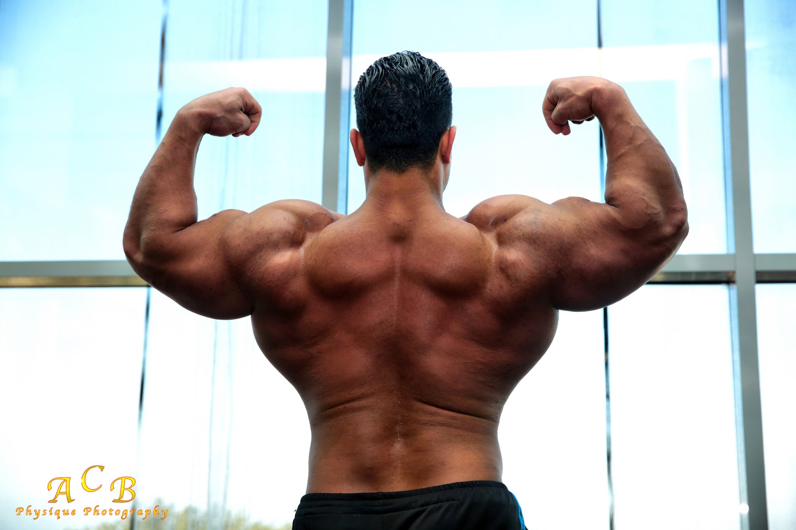 Muscle Lover: Egyptian IFBB Pro bodybuilder Hassan Mostafa