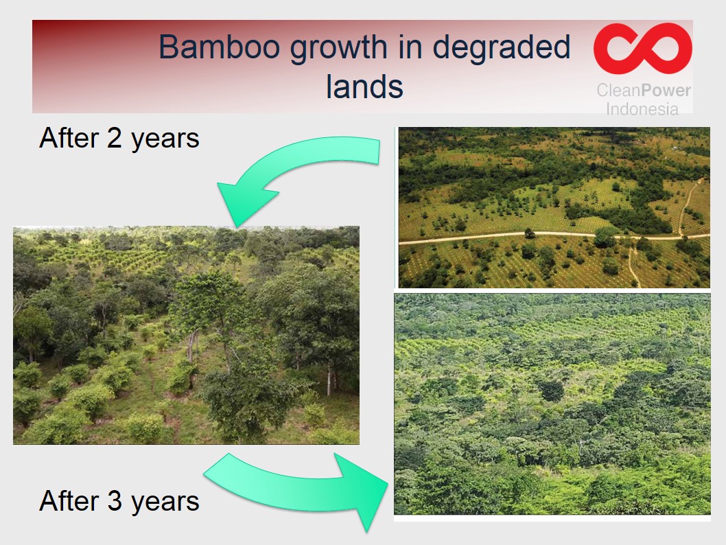 Revolusi Sebatang Bambu : Edisi Menggugat Para Perusak Lingkungan