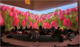 Tyler Wetherall: Pipilotti Rist