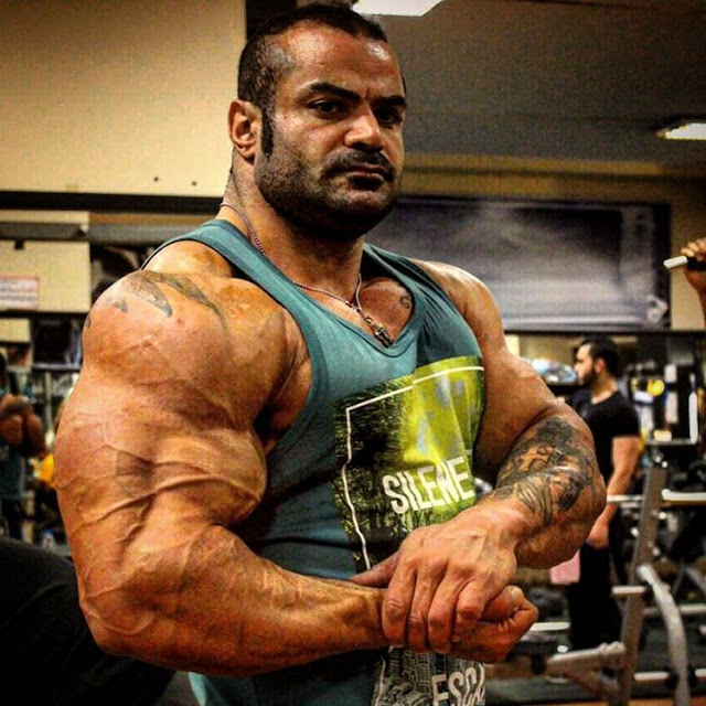 Muscle Lover: Iranian bodybuilder Hesam Ali Akbar