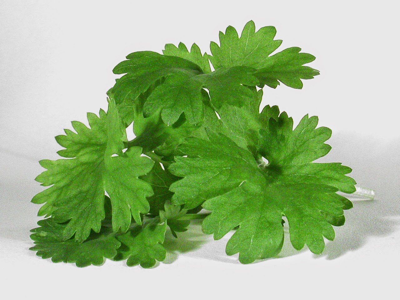 Darío Escudero - Blog Gastronómico: Entre brasas