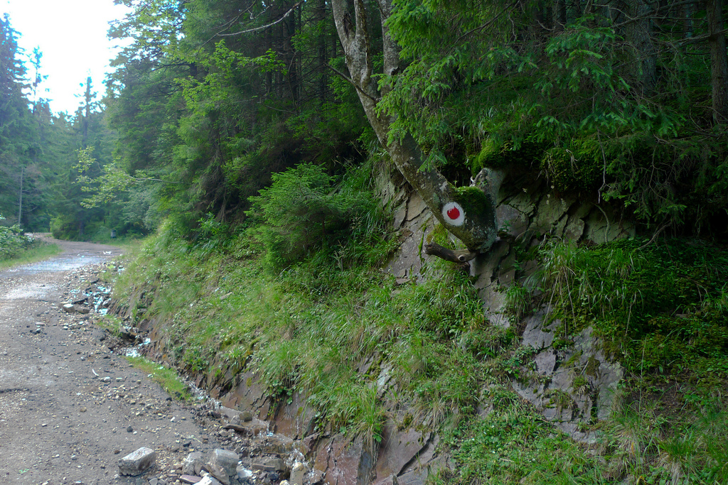 Manastirea Sihastria Rarau: Imagini si Peisaje cu Muntele Rarau