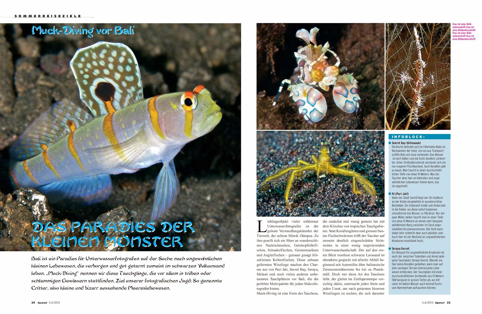 AMED SCUBA BALI DIVING CENTER # FOR THE LOVE OF DIVING: Tauchrundreise ...