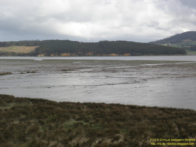 Ría de Ribadeo: Pola ría e polo río